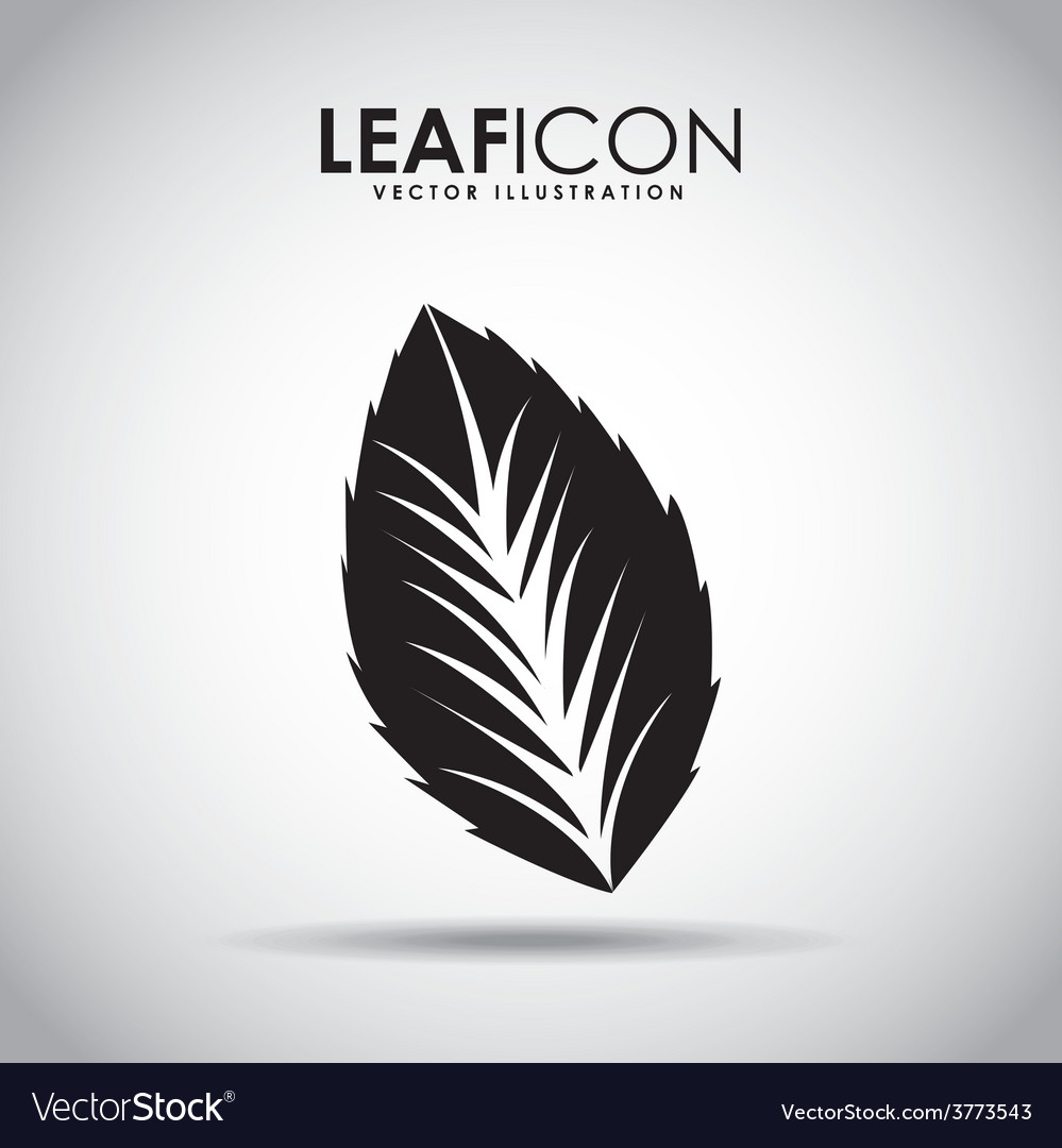 Leaf icon Royalty Free Vector Image - VectorStock