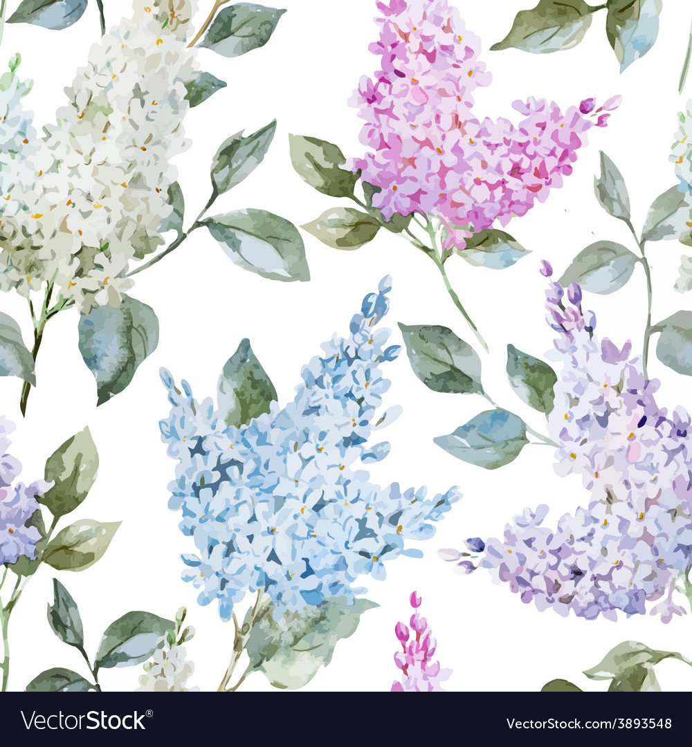 Lilac pattern Royalty Free Vector Image - VectorStock