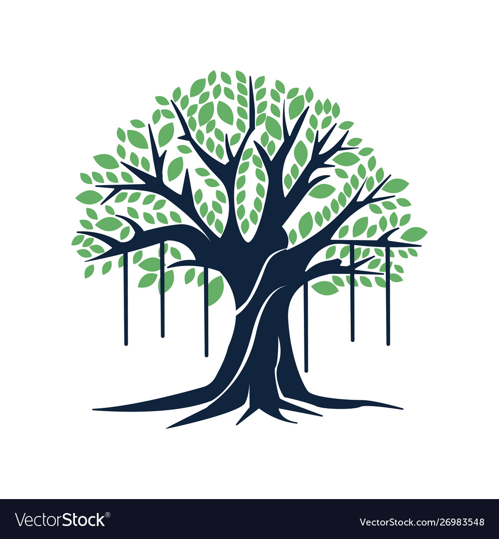 Stylized tree Royalty Free Vector Image - VectorStock