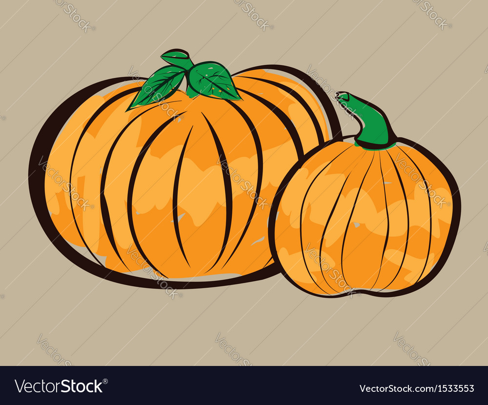 Two pumpkins Royalty Free Vector Image - VectorStock