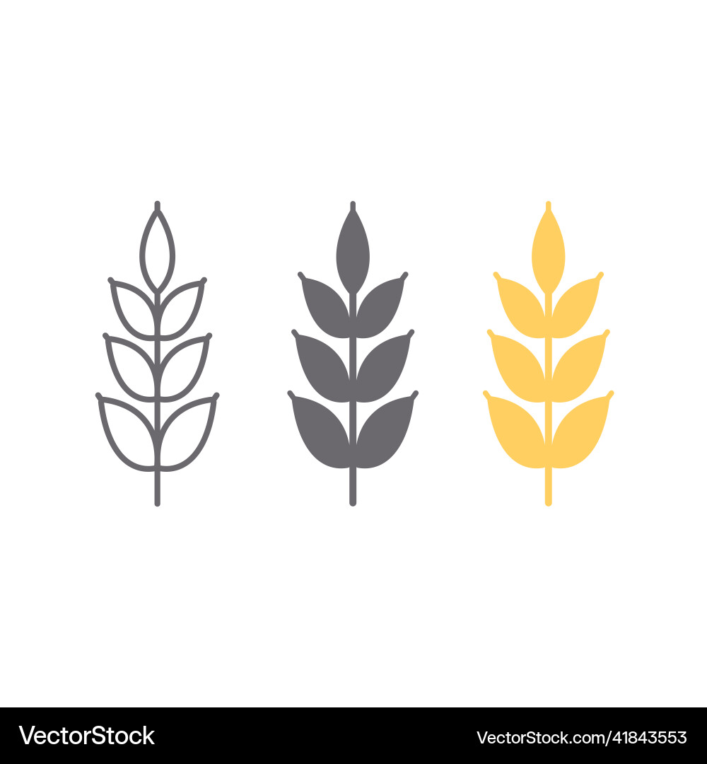 Wheat spike icon set isolated on white grain ear Vector Image