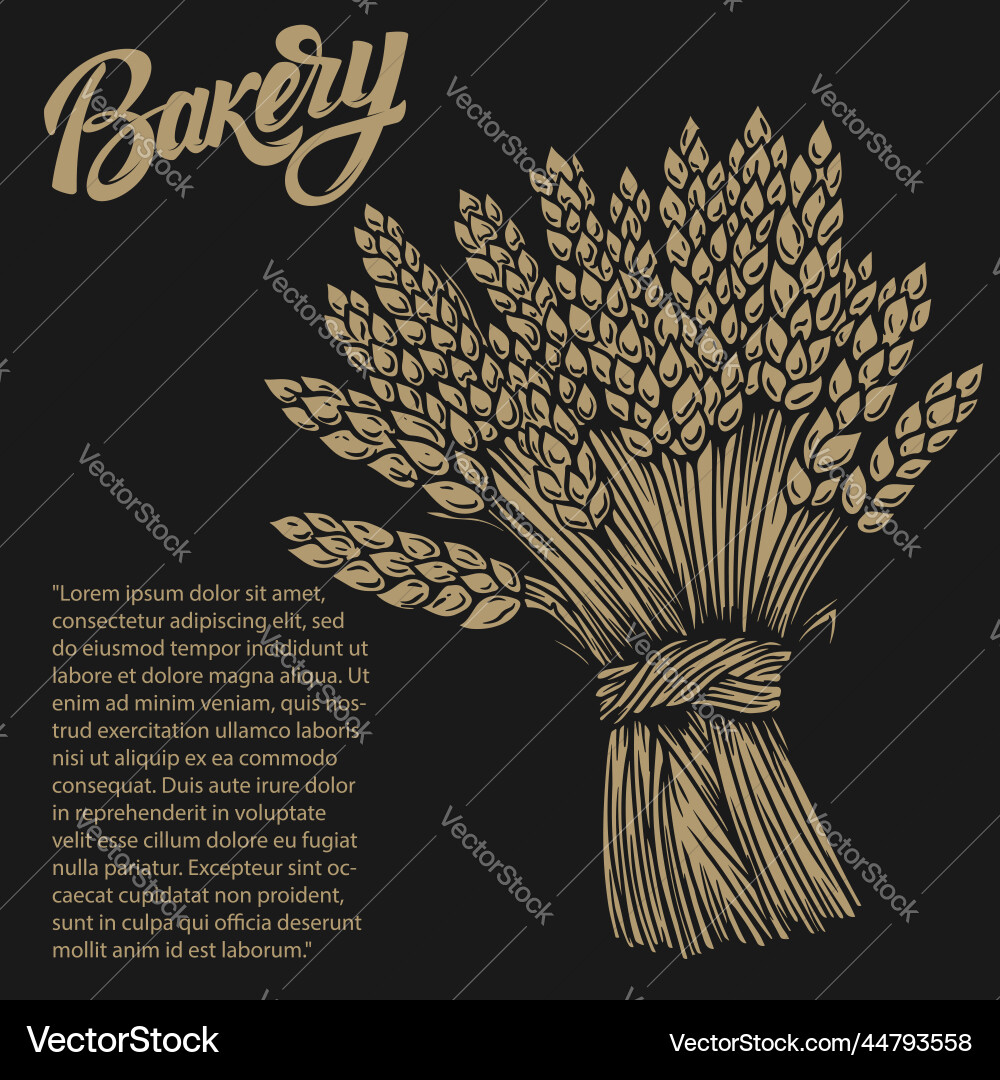 Bakery card with sheaf of wheat design element Vector Image