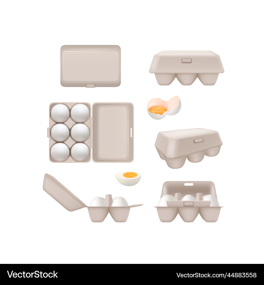 Eggs containers tray boxes for food packages Vector Image