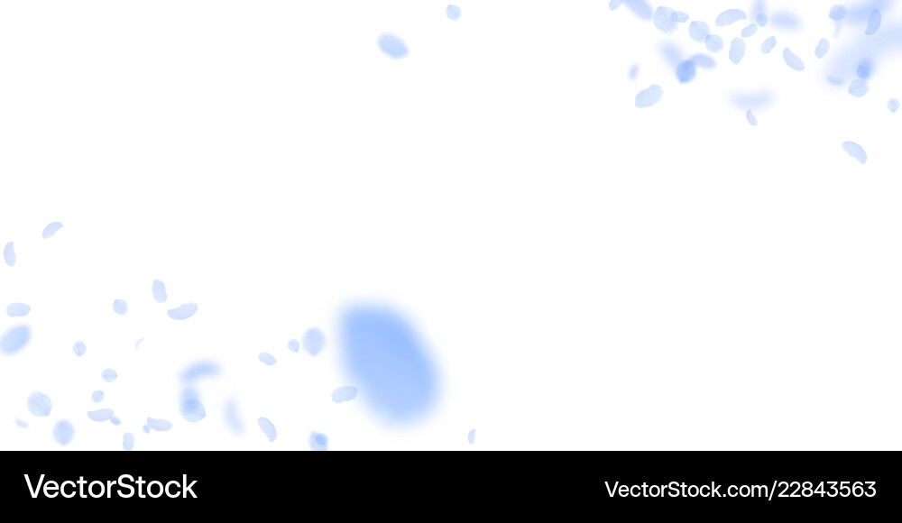 Dark blue flower petals falling down exotic roman Vector Image