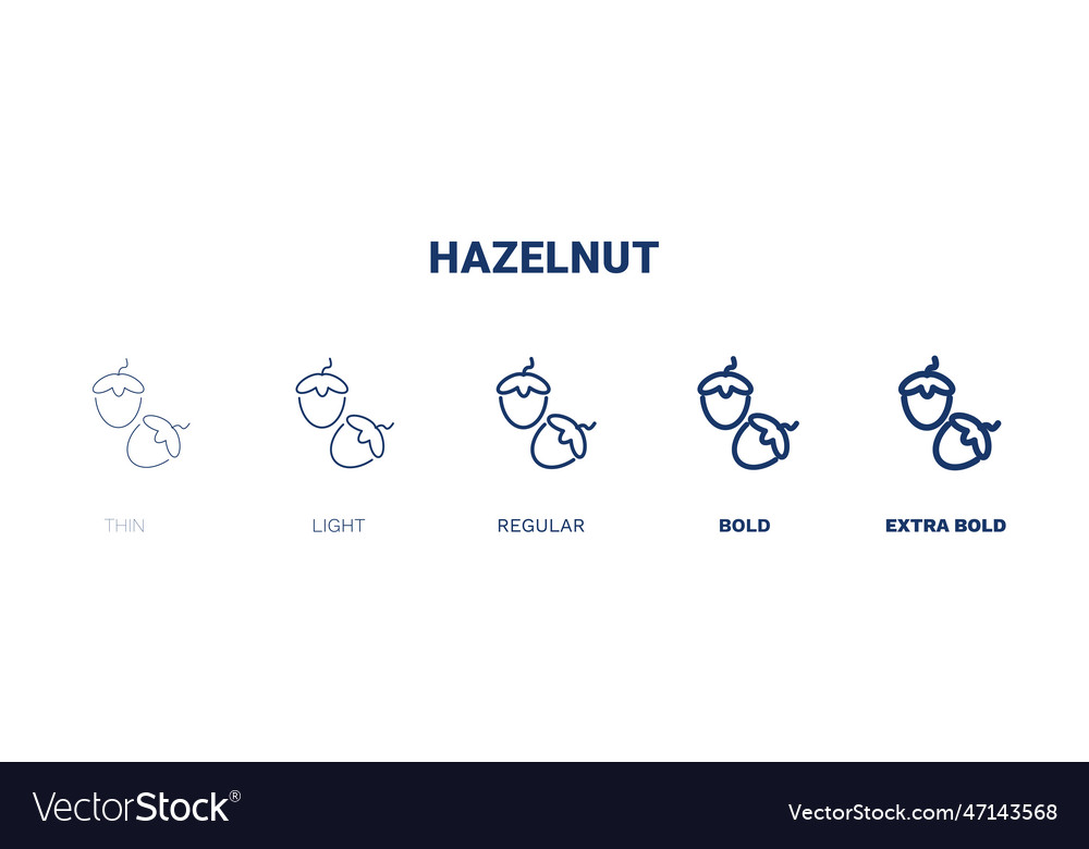 Hazelnut icon thin light regular bold black Vector Image