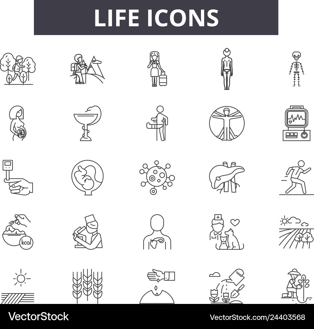 Life line icons for web and mobile design Vector Image