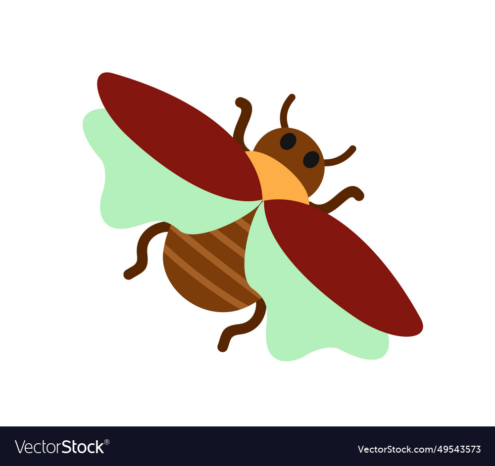 Cute wild insect Royalty Free Vector Image - VectorStock