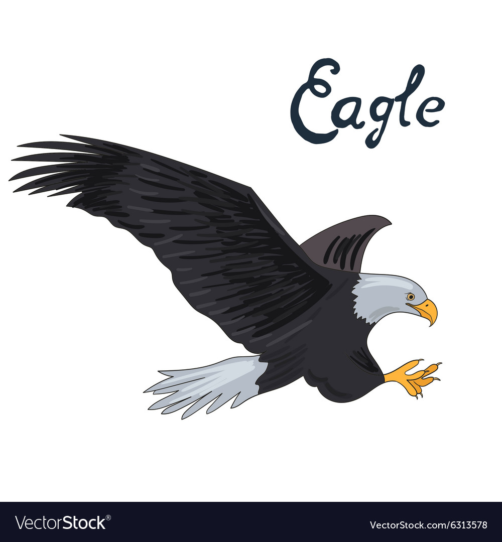 Bird eagle Royalty Free Vector Image - VectorStock