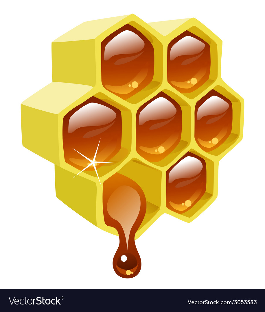 Honey Royalty Free Vector Image - VectorStock Honey Royalty Free Vector Image - VectorStock