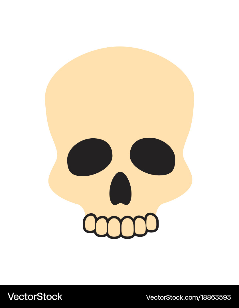 Closeup of beige skull Royalty Free Vector Image