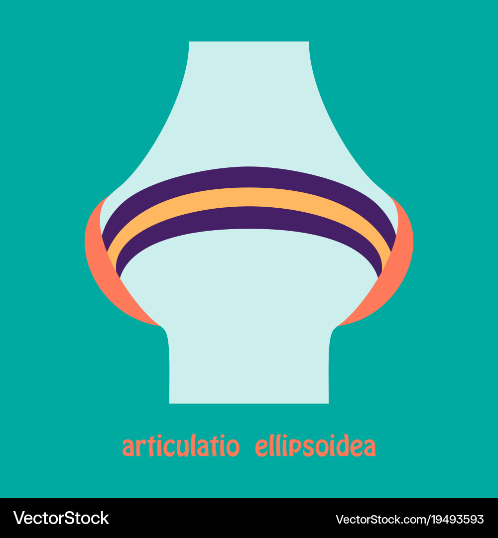 Knee joint health care icon flat Royalty Free Vector Image