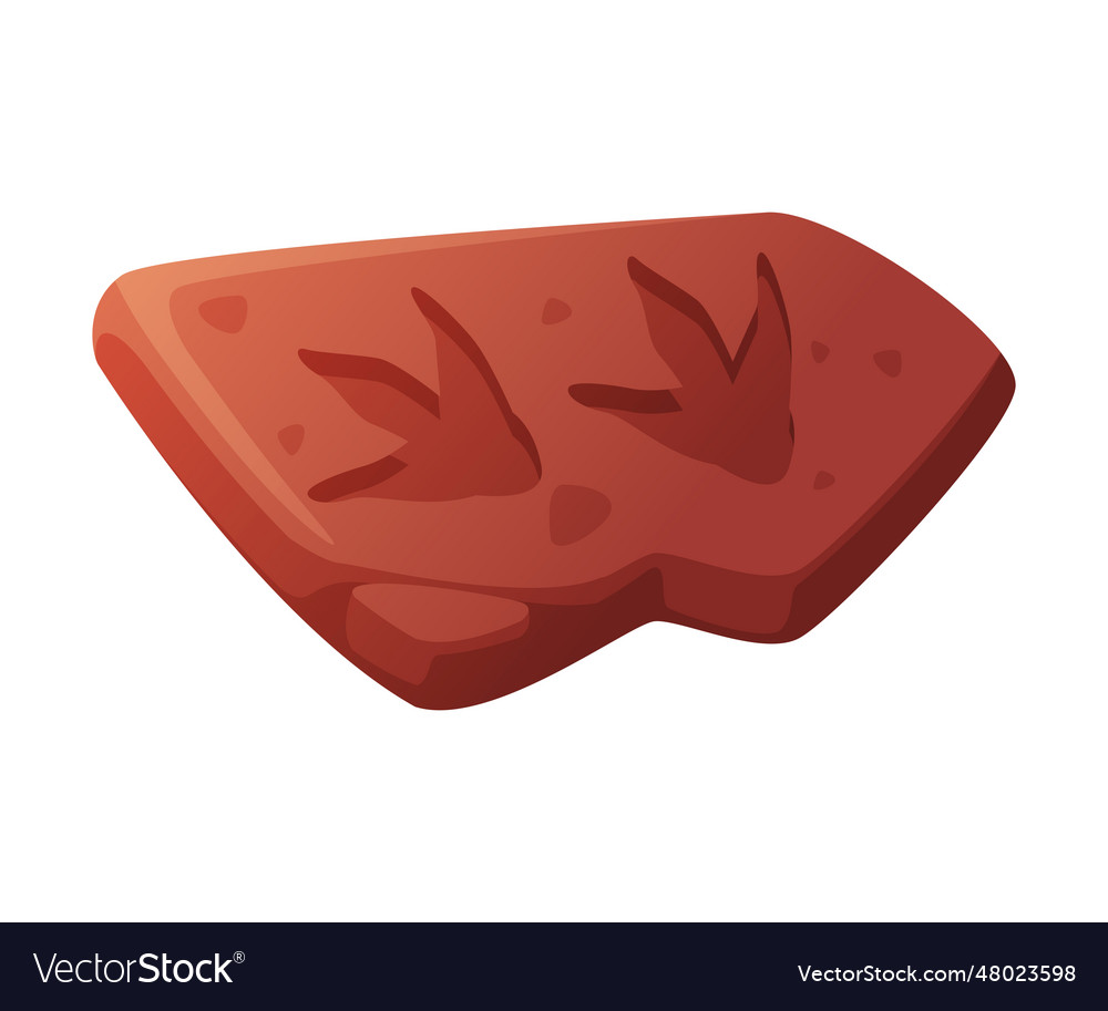 Fossil Imprint Obtained By Digging On Surface Vector Image