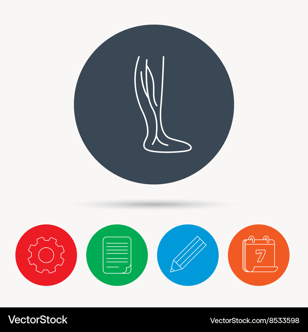 Phlebology icon leg veins sign Royalty Free Vector Image