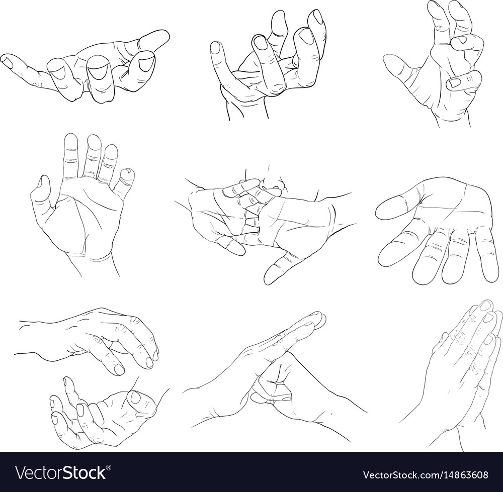 Hand activity Royalty Free Vector Image - VectorStock