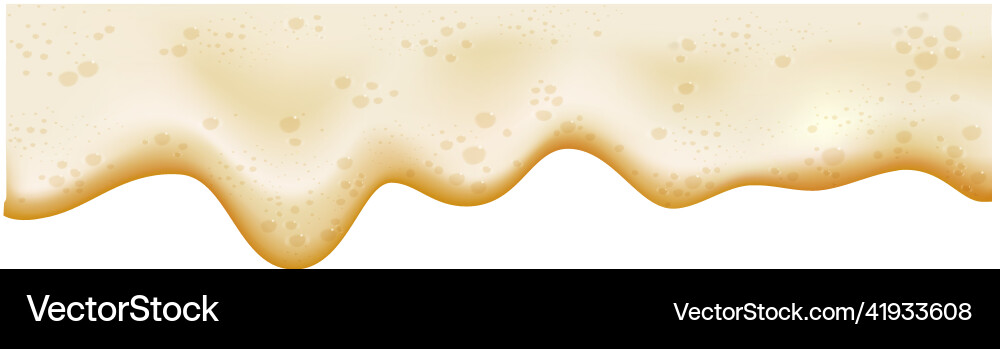 Realistic foam border froth texture with white Vector Image