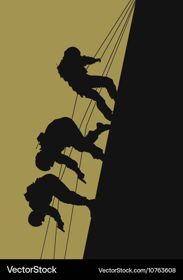 Soldiers of the special setting Royalty Free Vector Image