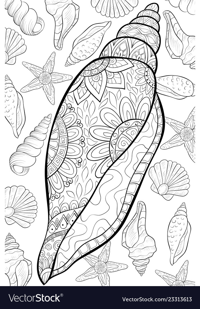 Adult coloring bookpage a cute shell image Vector Image