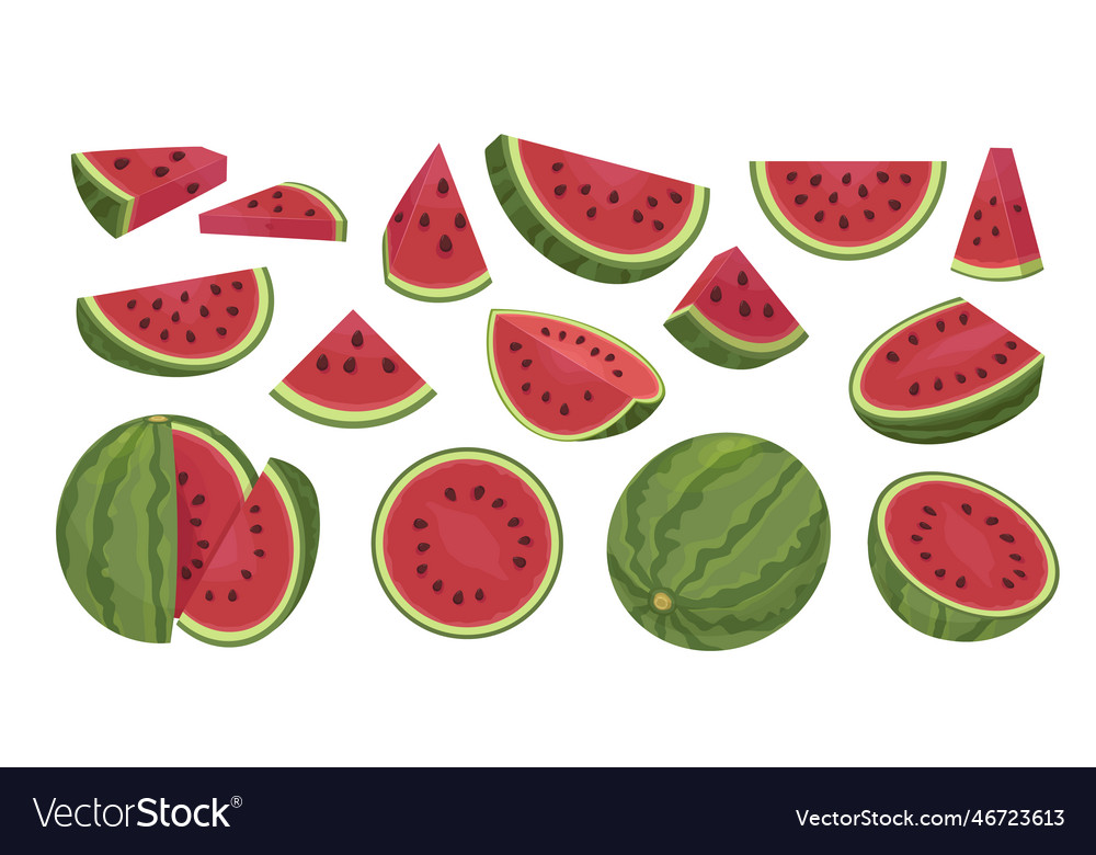 Watermelon sliced fresh healthy fruits Royalty Free Vector