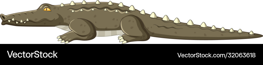 Alligator cartoon character isolated on white Vector Image