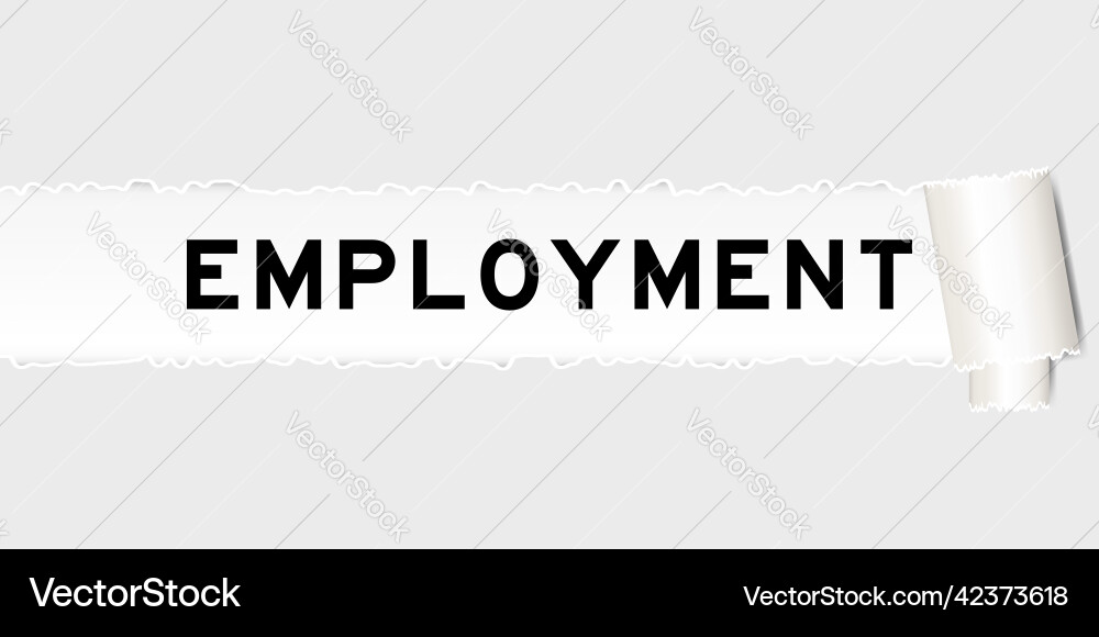 Ripped gray paper background that have word Vector Image