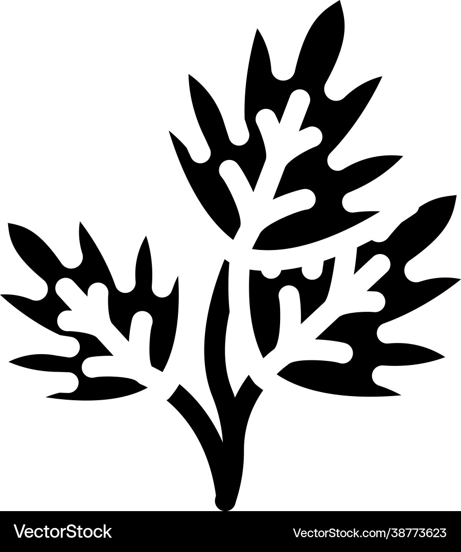 Parsley leaves glyph icon Royalty Free Vector Image