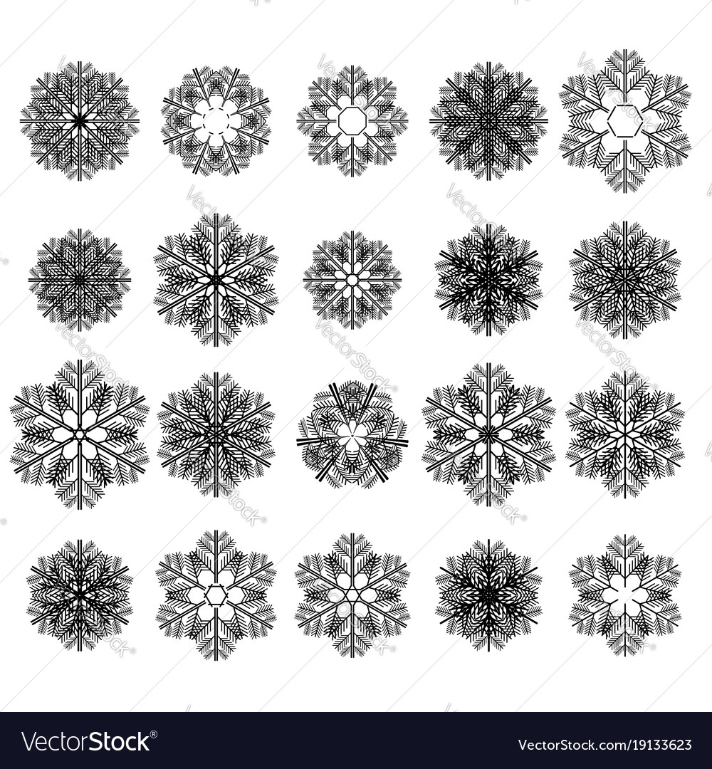 Set of different winter snowflakes Royalty Free Vector Image