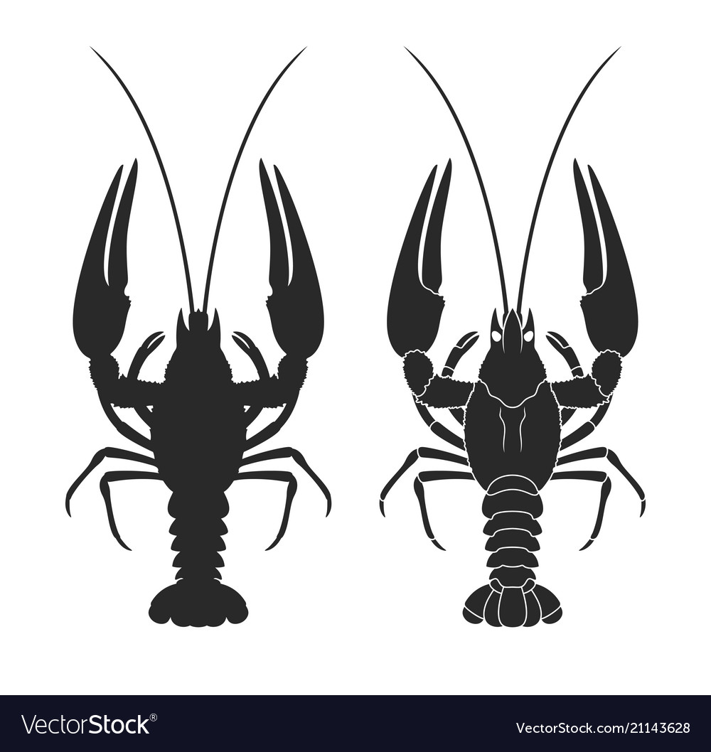 Crayfish Royalty Free Vector Image - VectorStock
