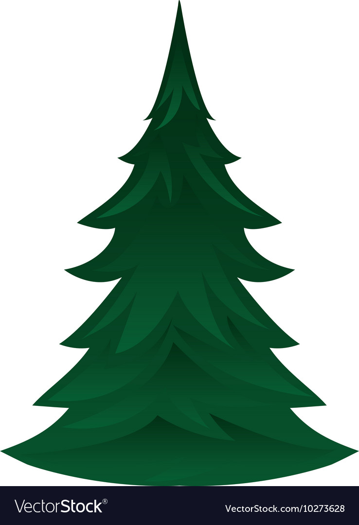 Pine tree isolated icon Royalty Free Vector Image