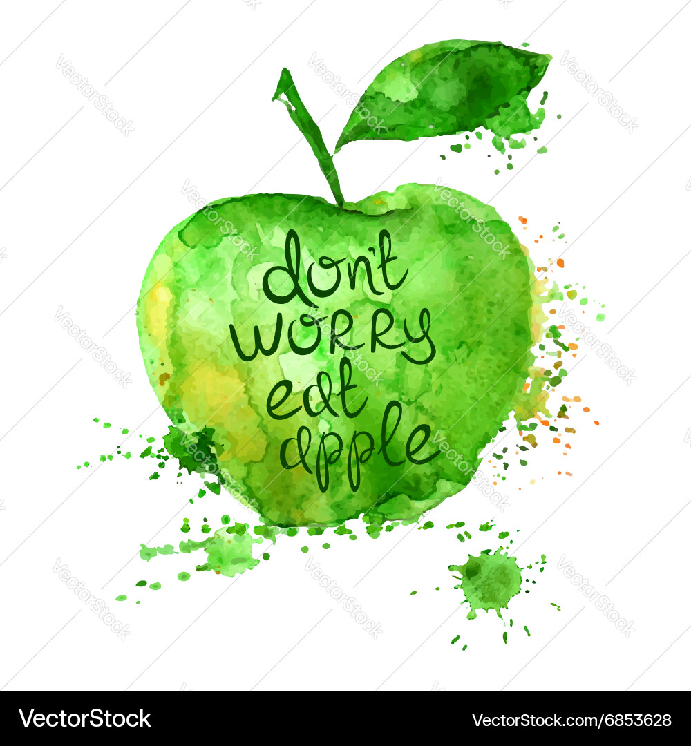 Watercolor of isolated apple Royalty Free Vector Image
