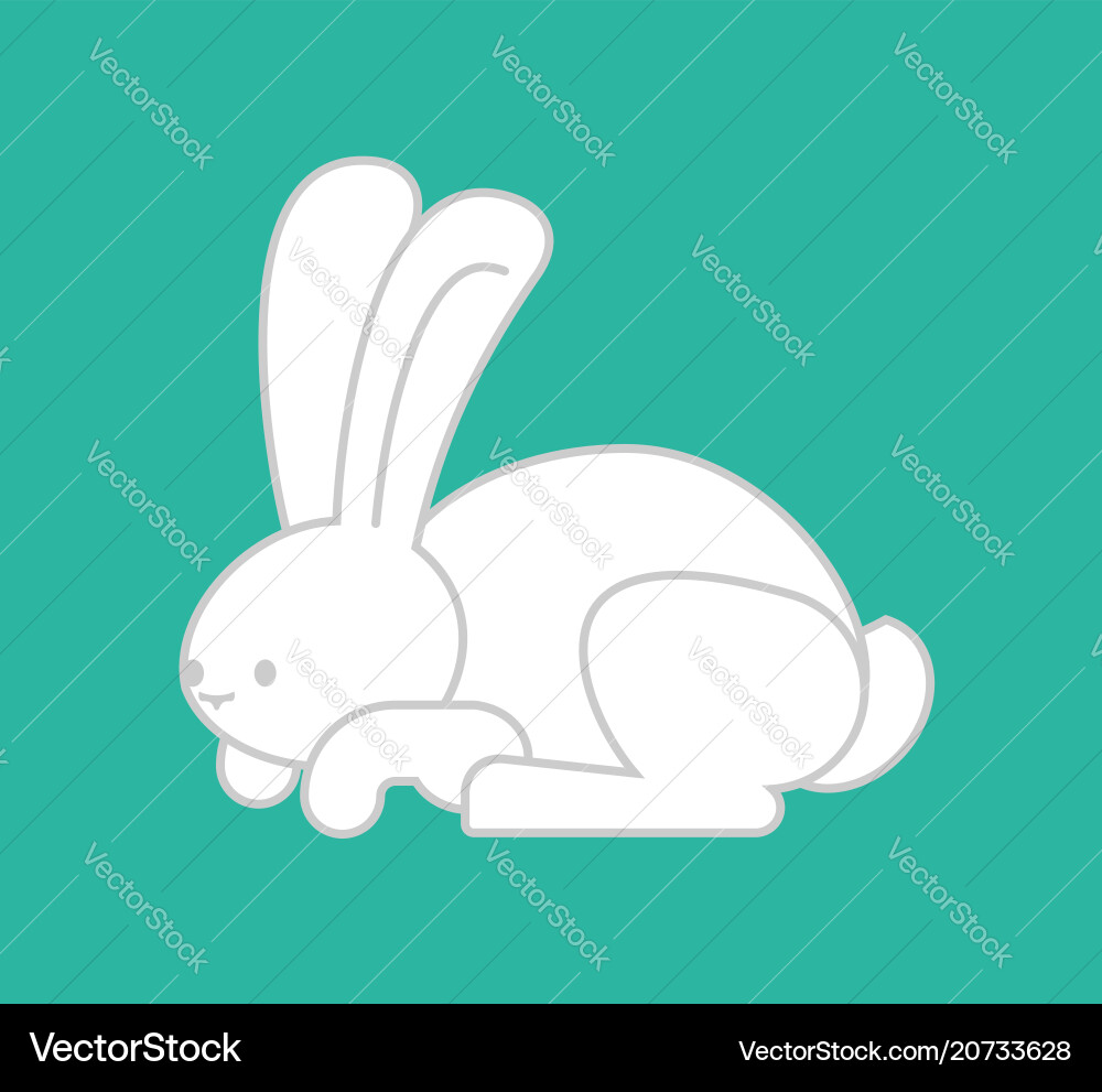 White rabbit isolated cute hare bunny animal Vector Image