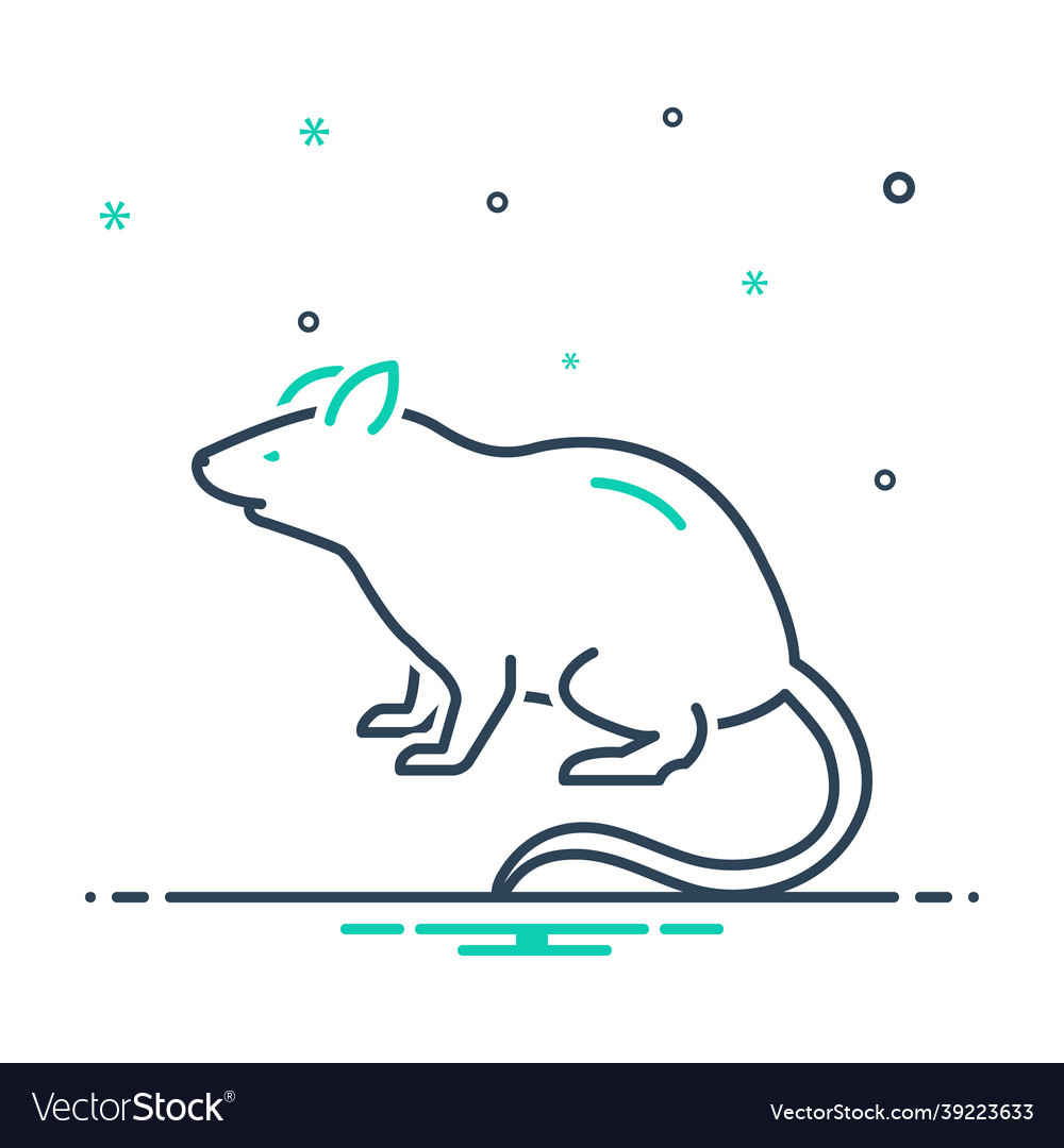 Rat Royalty Free Vector Image - VectorStock