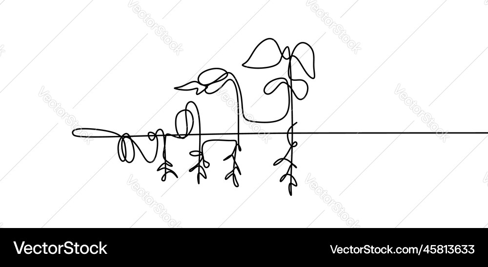 Steps growing of plant continuous one line Vector Image