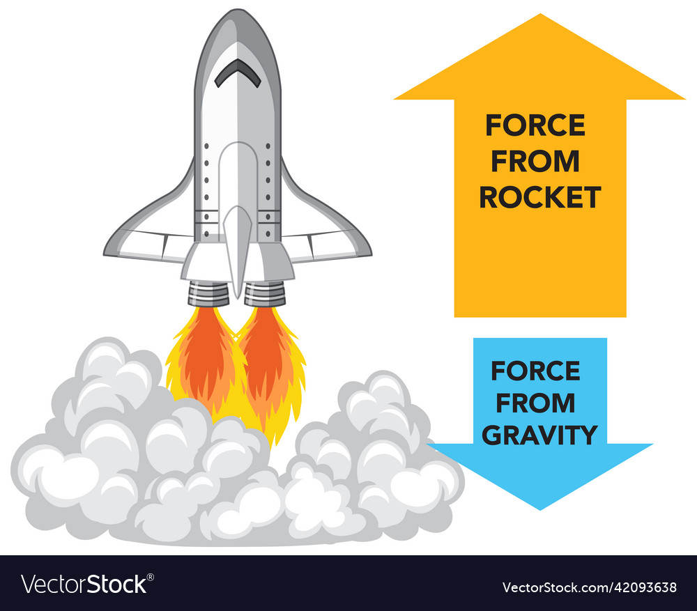 Liquid and solid rocket anatomy Royalty Free Vector Image