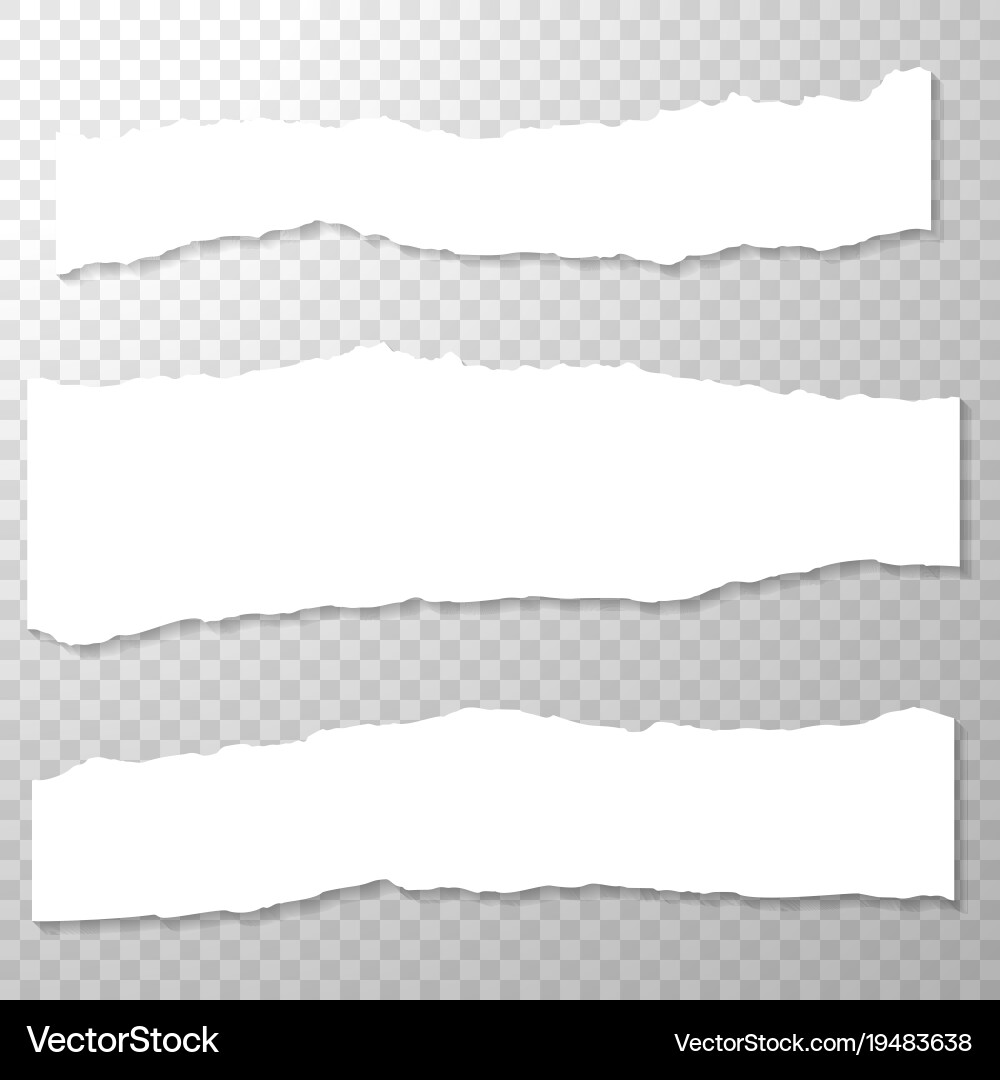 Long horizontal torned off pieces of paper empty Vector Image
