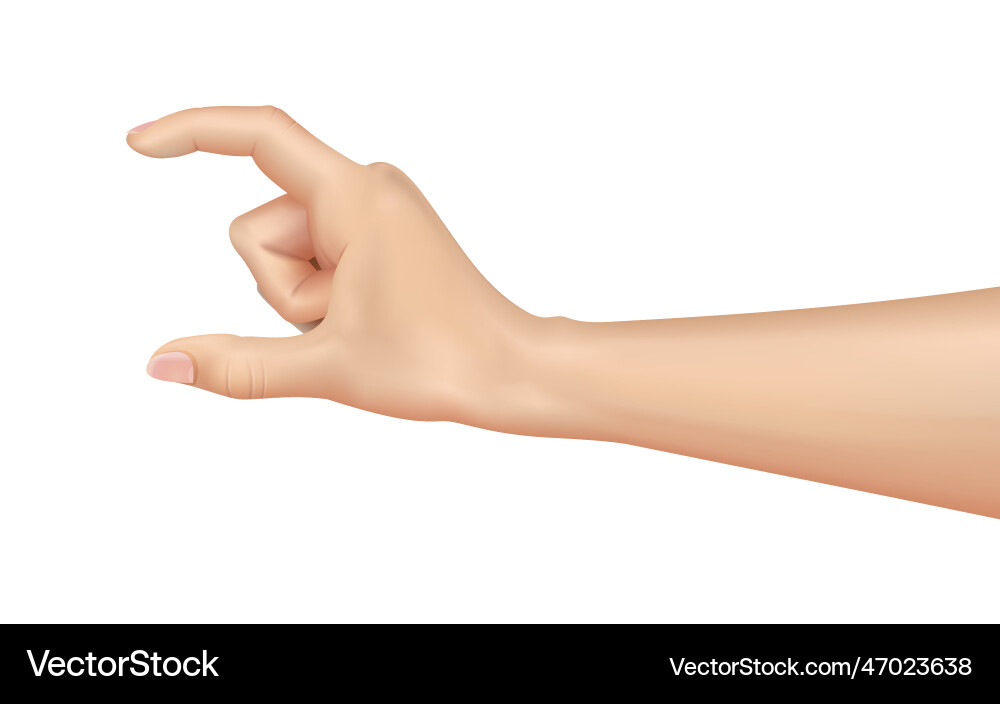 Woman hand on white background realistic Vector Image