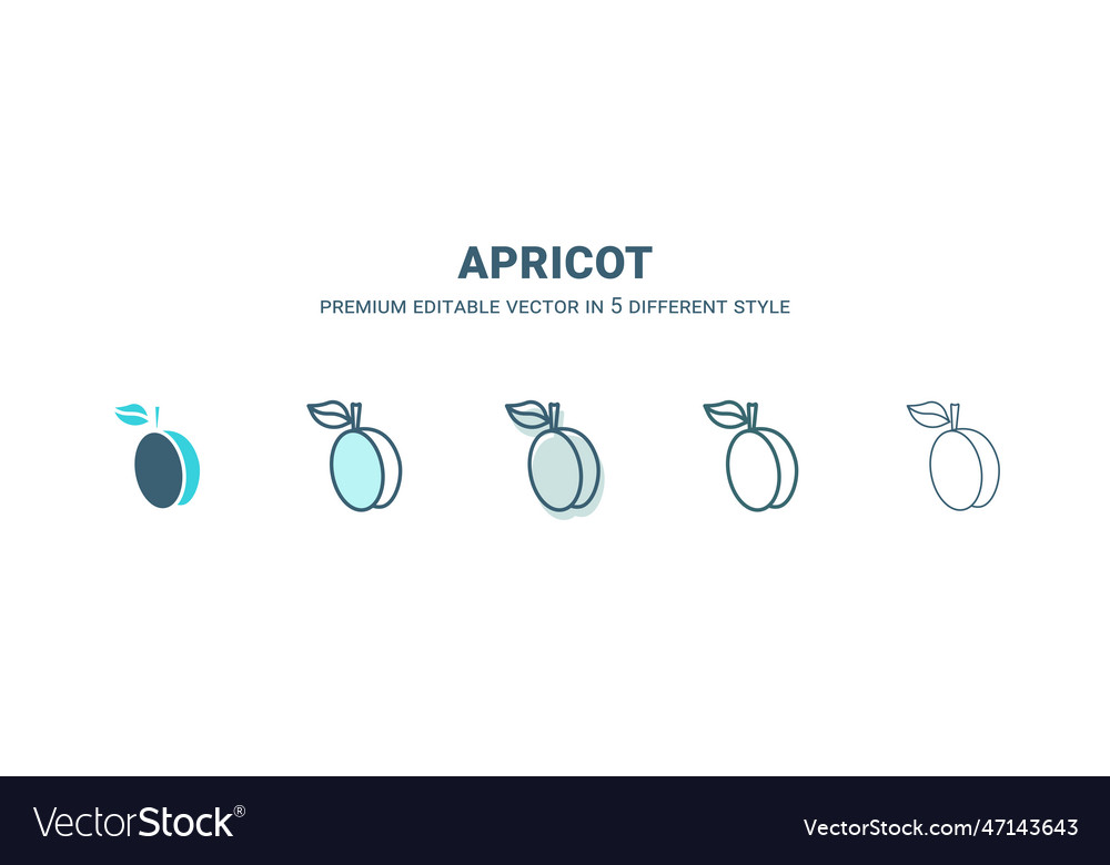 Apricot icon in 5 different style outline filled Vector Image