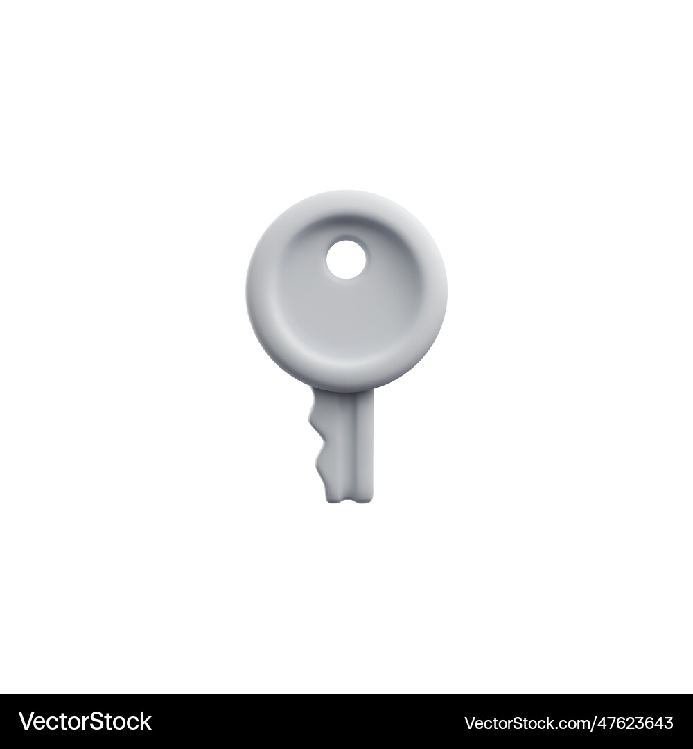 Realistic round little gray key 3d style Vector Image