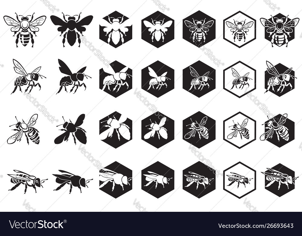 Set bees Royalty Free Vector Image - VectorStock