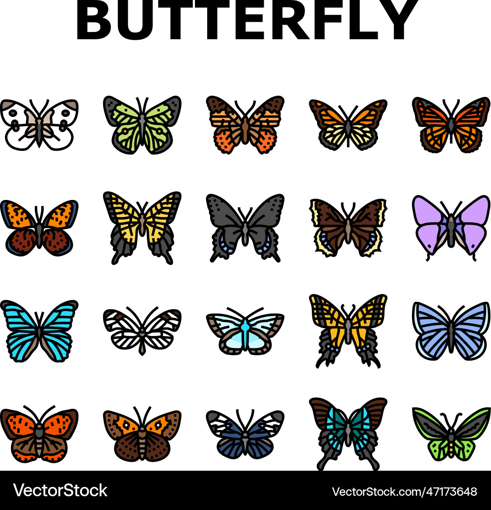 Butterfly summer spring insect icons set Vector Image
