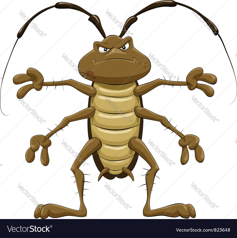 Cockroach Royalty Free Vector Image - VectorStock