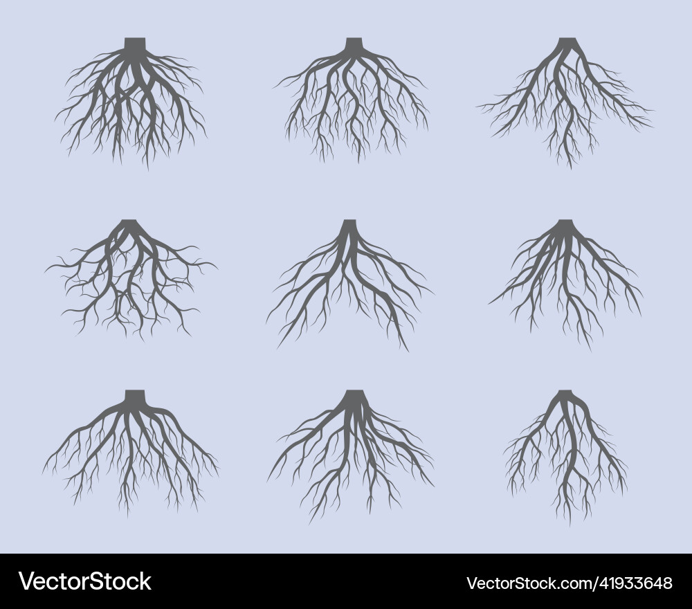 Set of grey tree roots outline Royalty Free Vector Image
