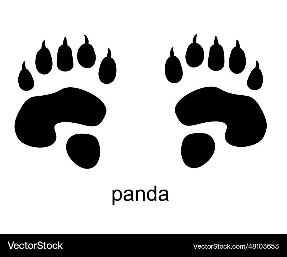 Panda track foot print bear paw step Royalty Free Vector