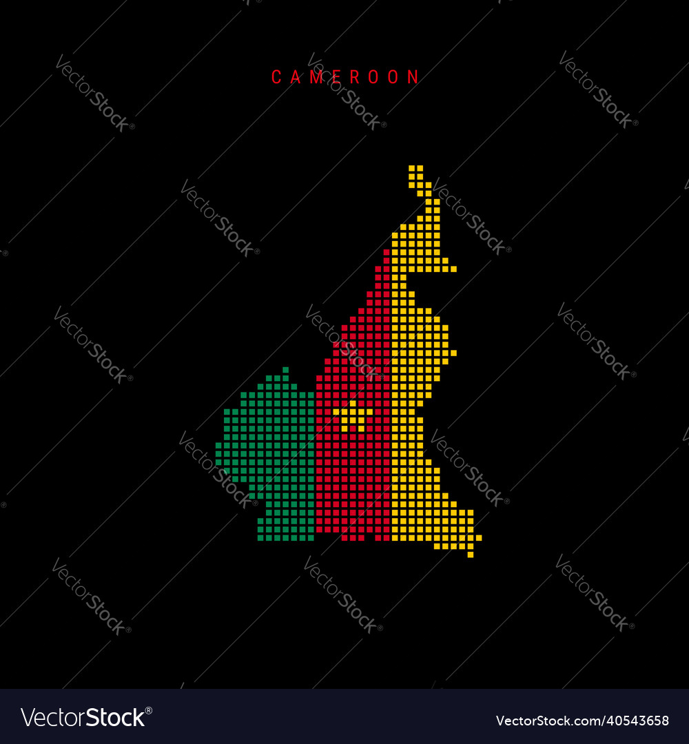 Square dots pattern map of cameroon cameroonian Vector Image