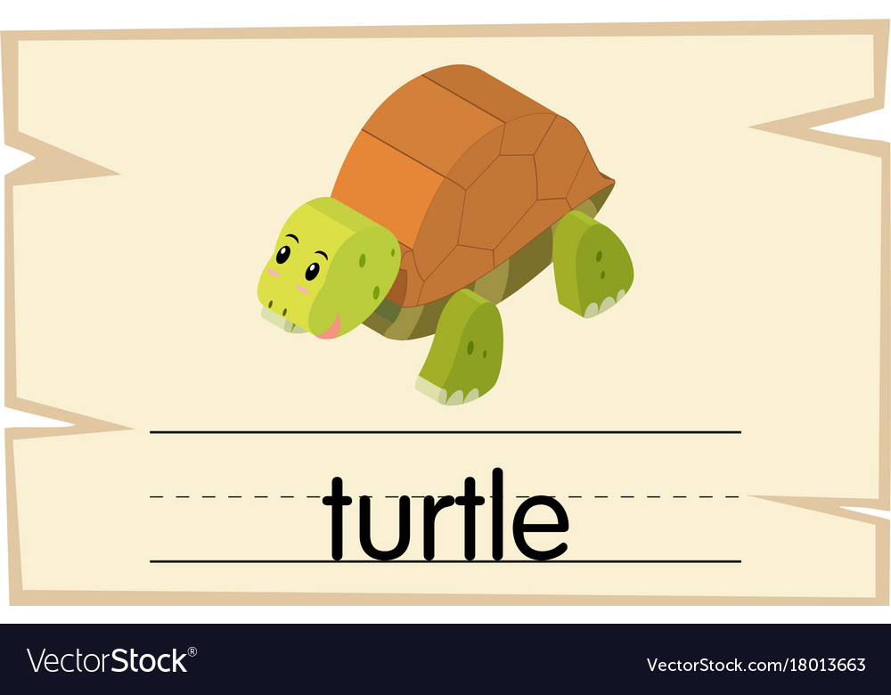 Wordcard With Word Turtle Royalty Free Vector Image