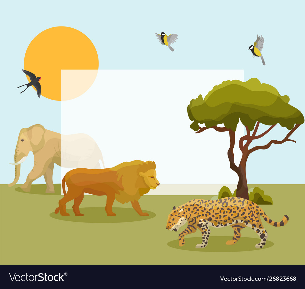 African animals frame Royalty Free Vector Image