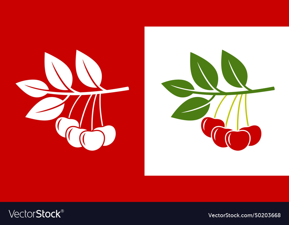 Cherry Royalty Free Vector Image - VectorStock