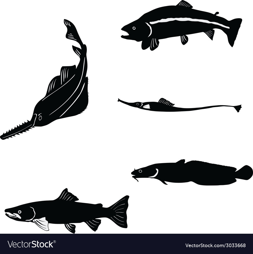Fish Royalty Free Vector Image - VectorStock