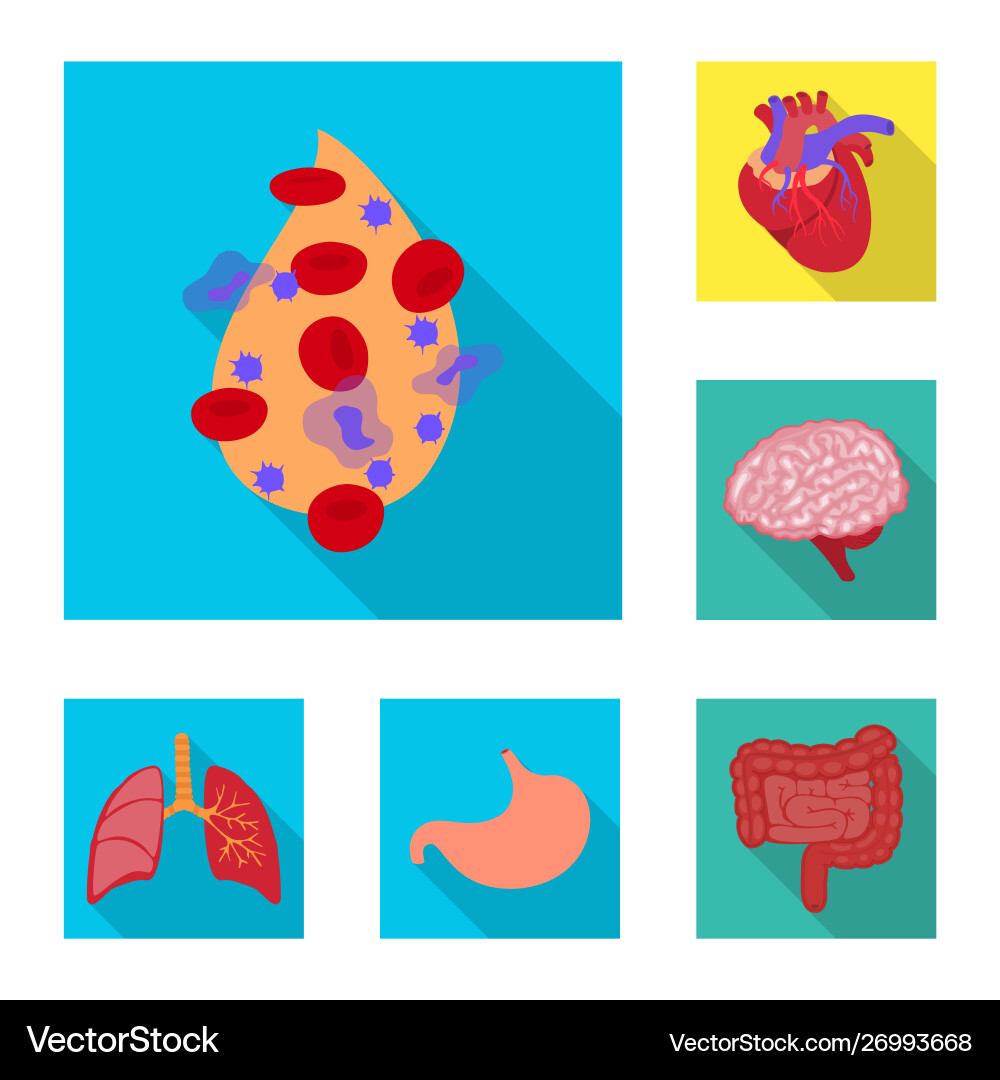 Human and health icon set Royalty Free Vector Image
