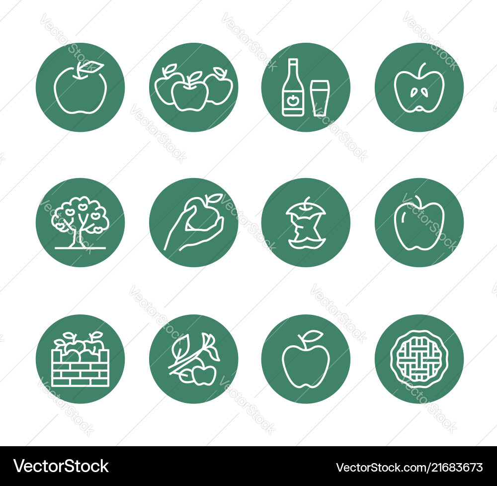 Apples flat line icons apple picking autumn Vector Image