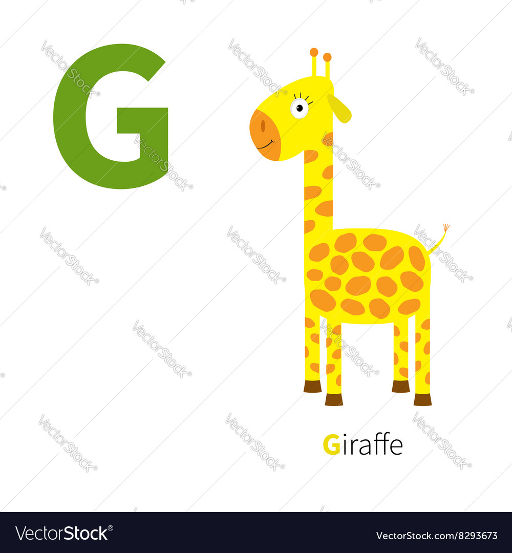 Letter G Giraffe Zoo alphabet English abc with Vector Image